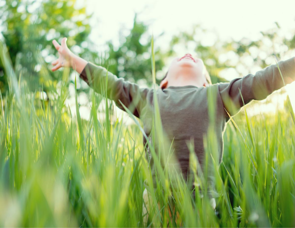 Anima Arts – Move. Grow. Connect.